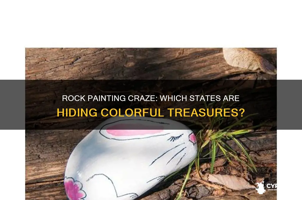Rock Painting Craze: Which States Are Hiding Colorful Treasures? | CyPaint