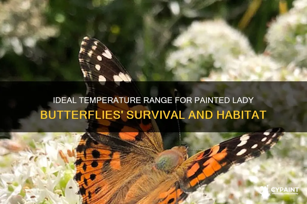 Ideal Temperature Range For Painted Lady Butterflies' Survival And ...