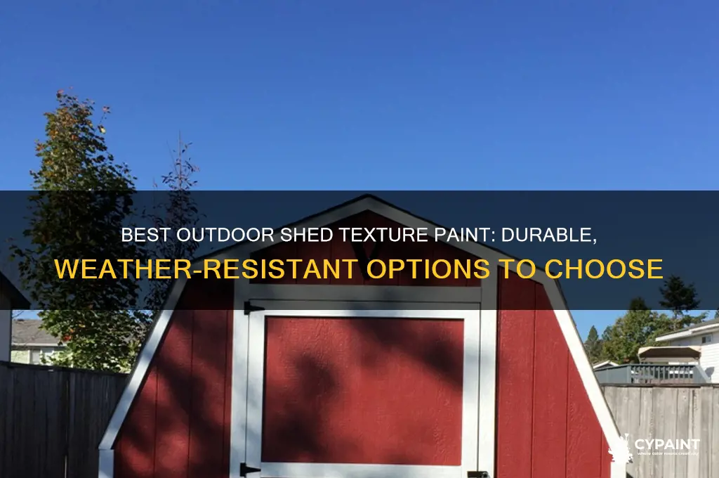 Best Outdoor Shed Texture Paint: Durable, Weather-Resistant Options To ...