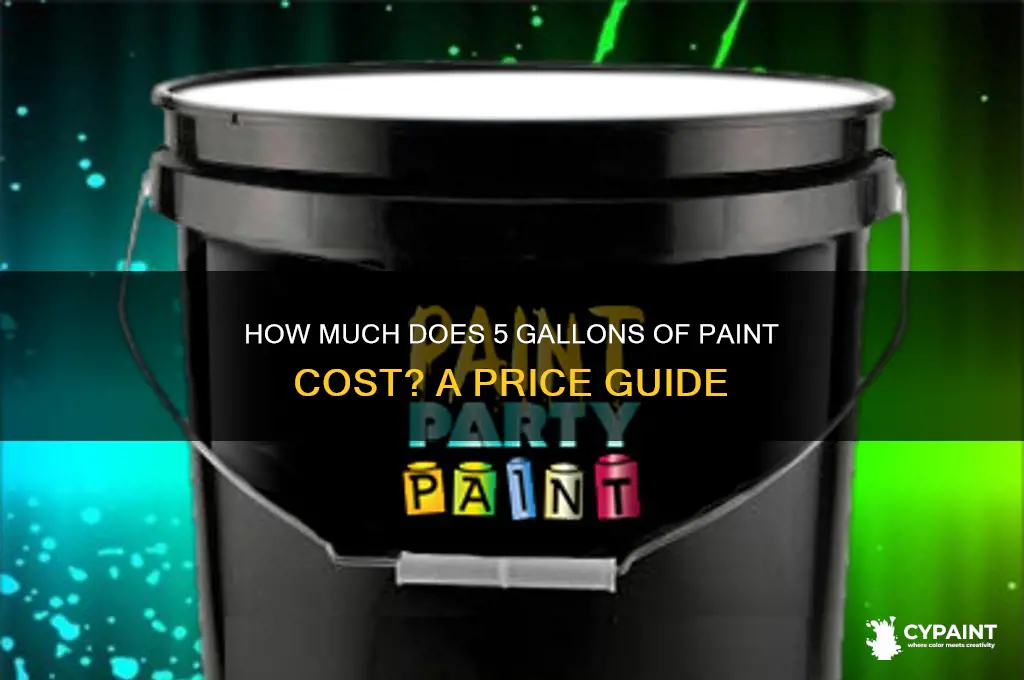 How Much Does 5 Gallons Of Paint Cost? A Price Guide | CyPaint