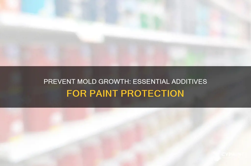 Prevent Mold Growth: Essential Additives For Paint Protection | CyPaint