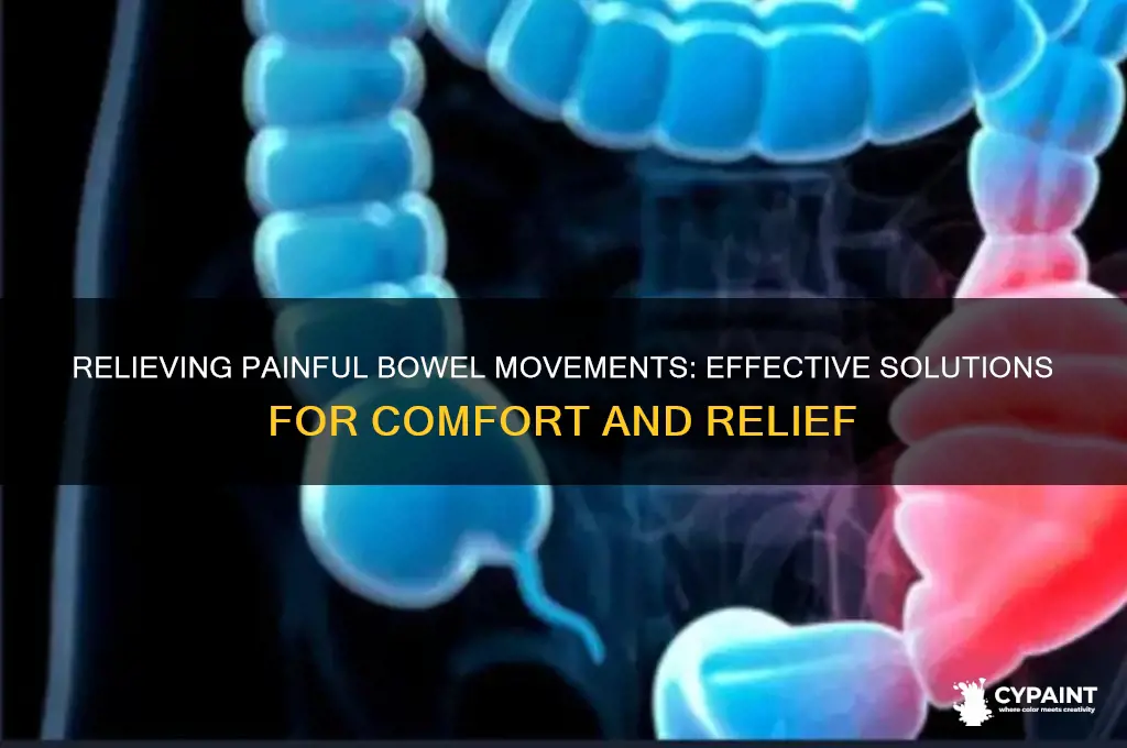 Relieving Painful Bowel Movements: Effective Solutions For Comfort And ...