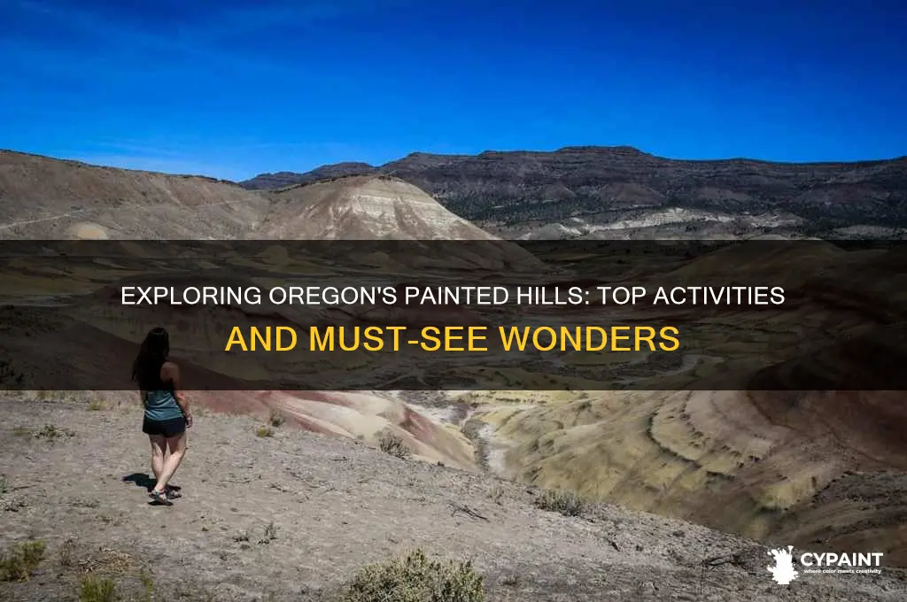 Exploring Oregon's Painted Hills: Top Activities And Must-See Wonders ...