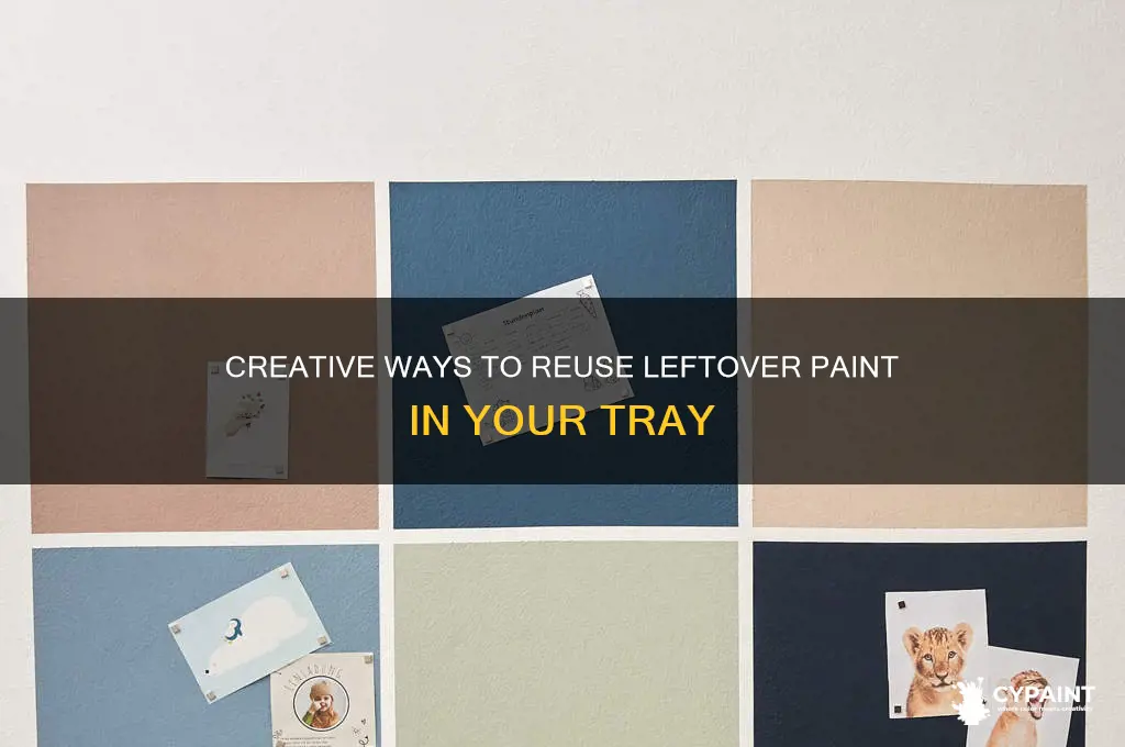Creative Ways To Reuse Leftover Paint In Your Tray | CyPaint