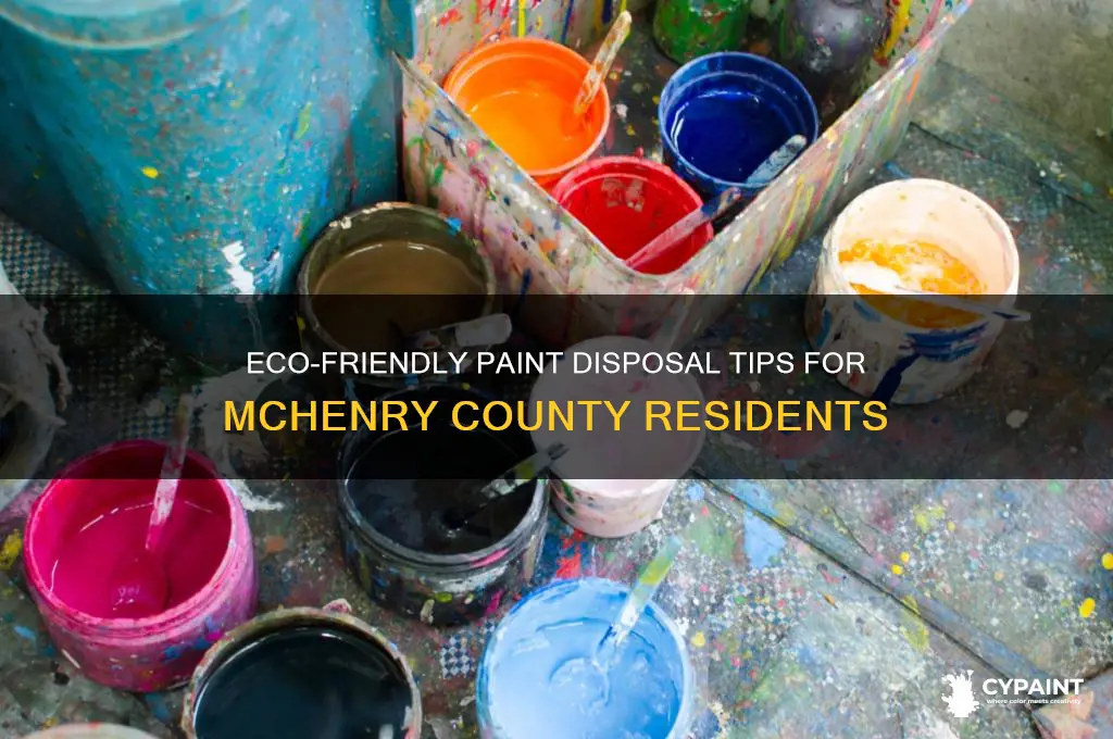 Eco-Friendly Paint Disposal Tips For Mchenry County Residents | CyPaint
