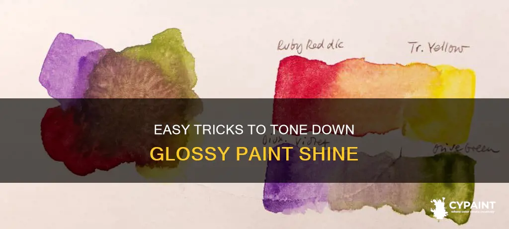Easy Tricks To Tone Down Glossy Paint Shine | CyPaint