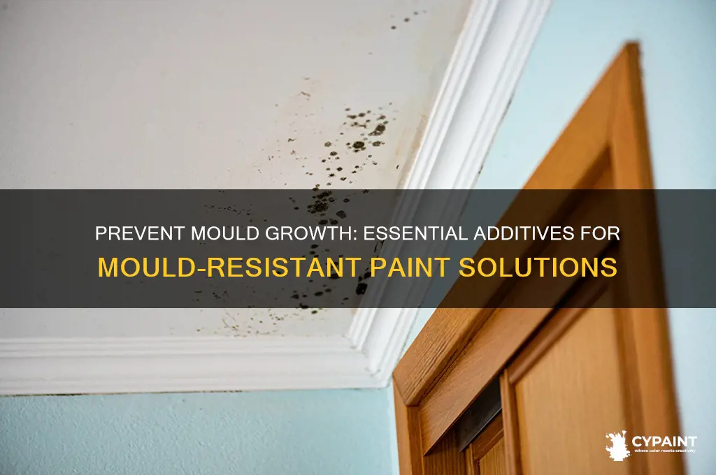 Prevent Mould Growth: Essential Additives For Mould-Resistant Paint ...