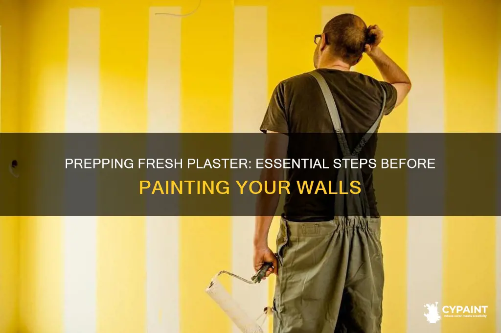 Prepping Fresh Plaster: Essential Steps Before Painting Your Walls ...