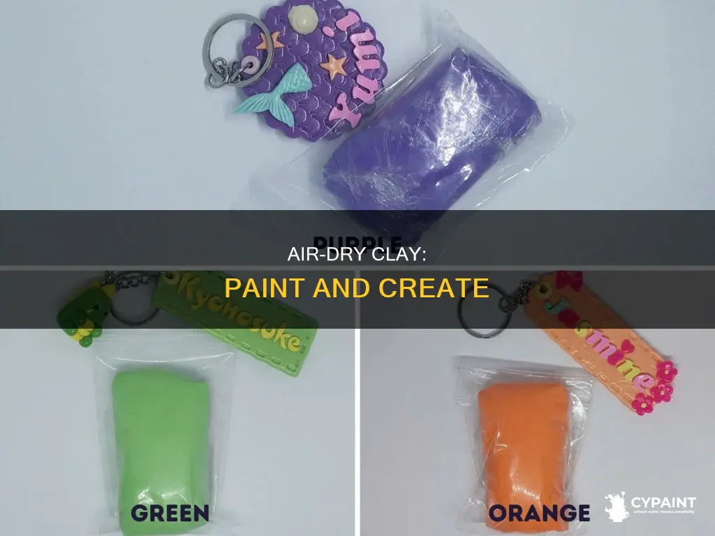 Air-Dry Clay: Paint And Create | CyPaint