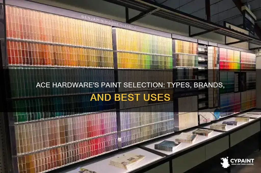Ace Hardware's Paint Selection: Types, Brands, And Best Uses | CyPaint