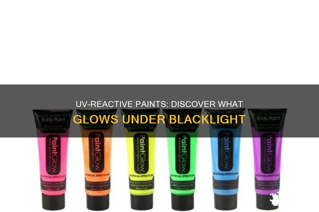 Uv-Reactive Paints: Discover What Glows Under Blacklight | CyPaint