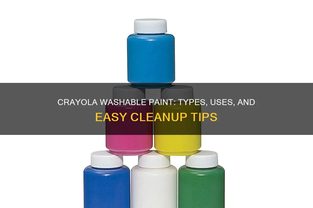 Crayola Washable Paint: Types, Uses, And Easy Cleanup Tips | CyPaint