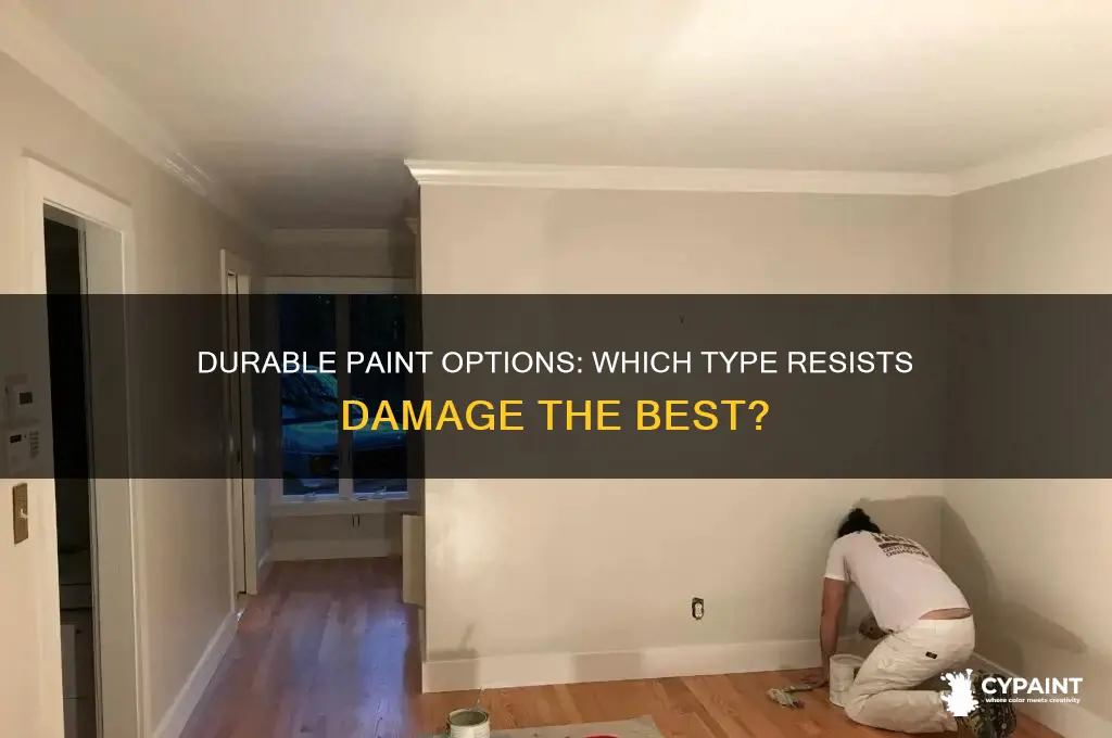Durable Paint Options: Which Type Resists Damage The Best? | CyPaint