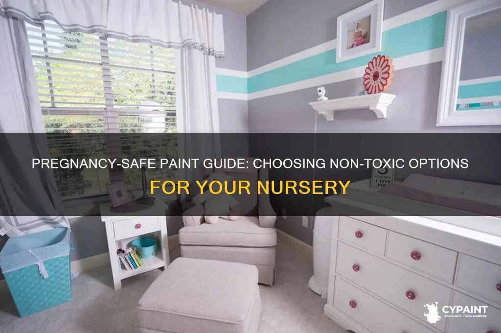 Pregnancy-Safe Paint Guide: Choosing Non-Toxic Options For Your Nursery ...