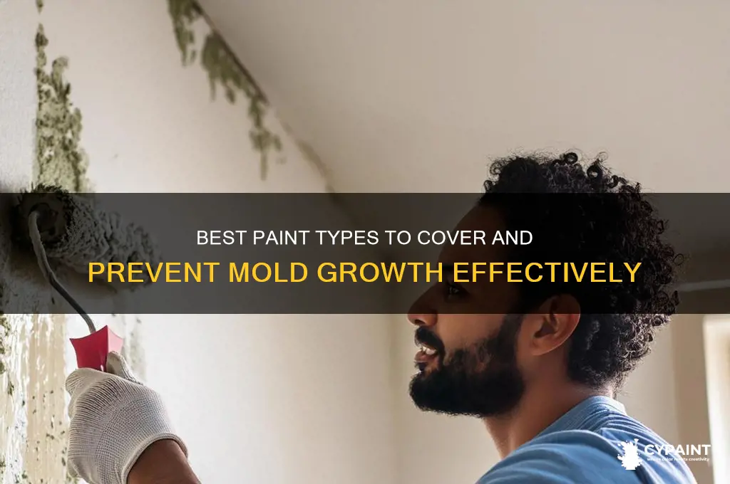 Best Paint Types To Cover And Prevent Mold Growth Effectively | CyPaint
