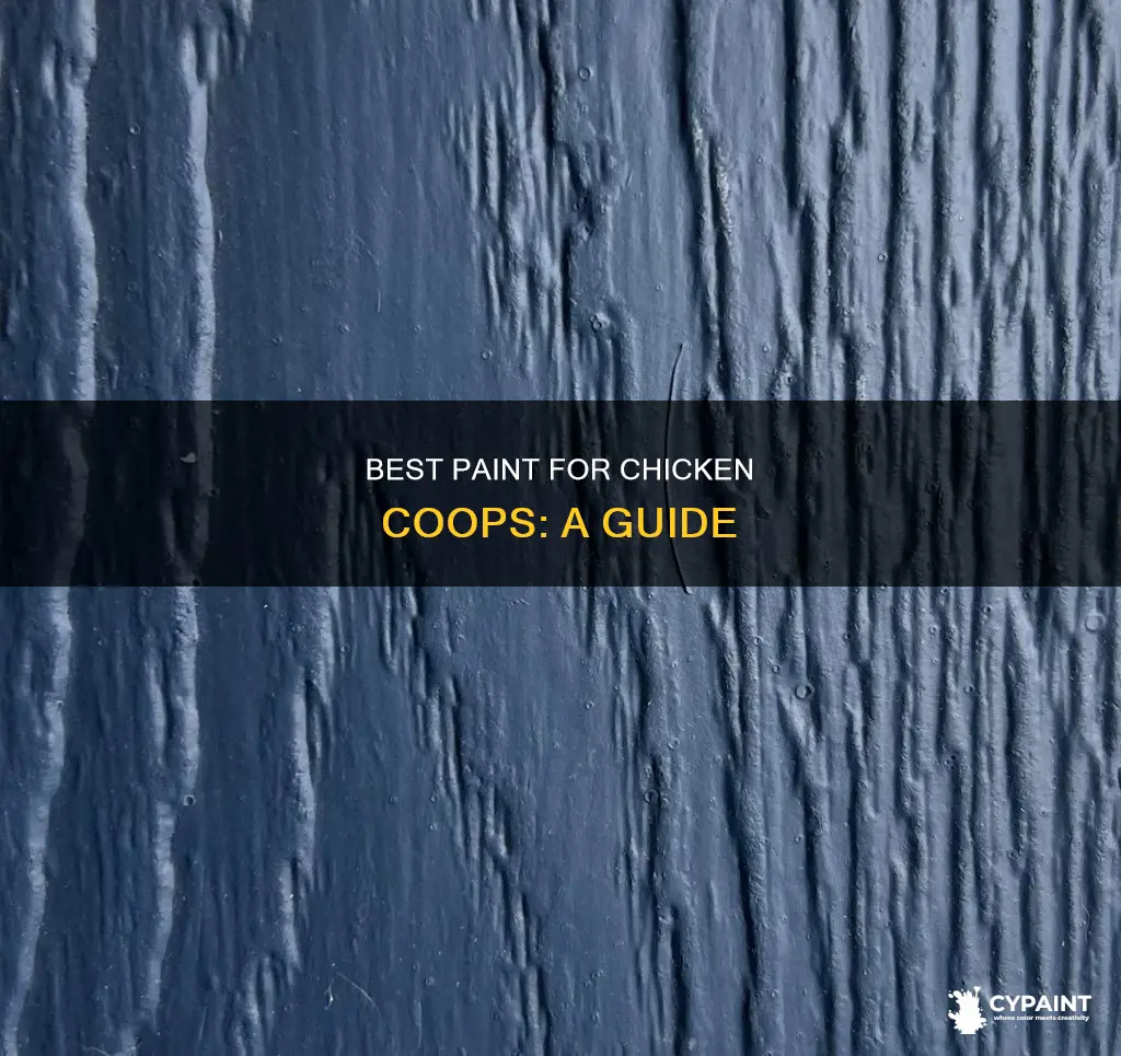 Best Paint For Chicken Coops: A Guide | CyPaint