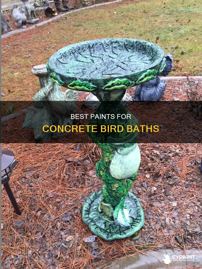 Best Paints For Concrete Bird Baths | CyPaint