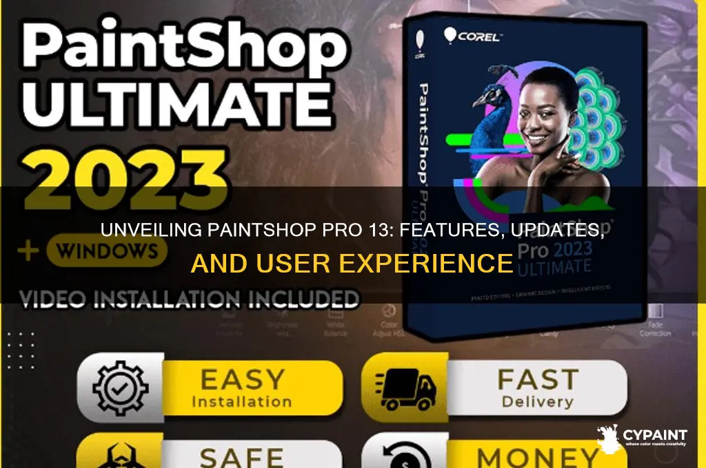 Unveiling Paintshop Pro 13: Features, Updates, And User Experience ...