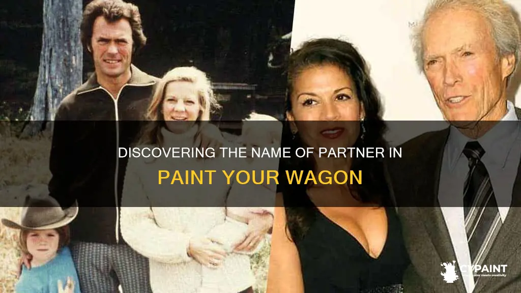 Discovering The Name Of Partner In Paint Your Wagon | CyPaint