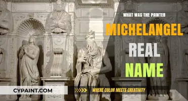 Unveiling Michelangelo: The Real Name Behind The Renaissance Master ...