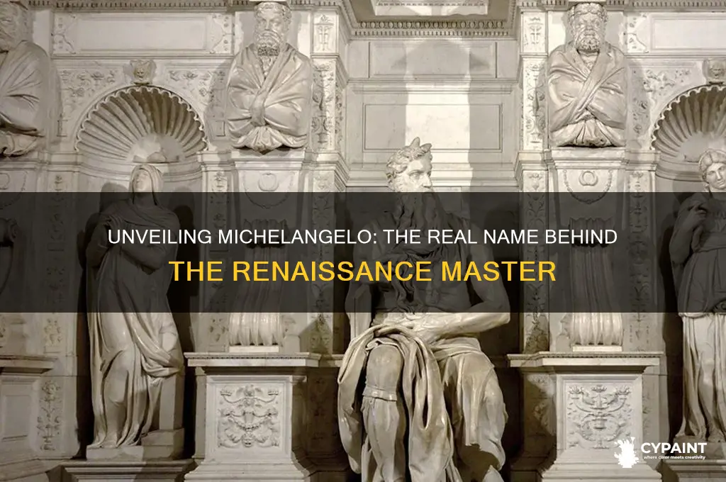 Unveiling Michelangelo: The Real Name Behind The Renaissance Master ...
