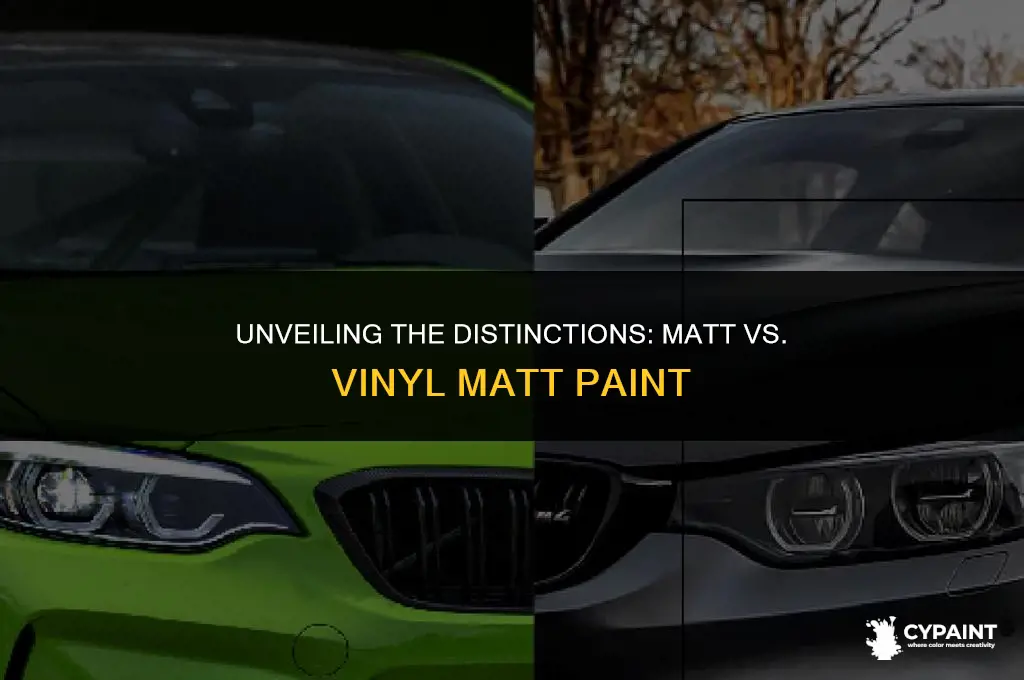 Unveiling The Distinctions: Matt Vs. Vinyl Matt Paint | CyPaint