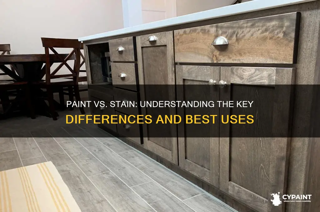 Paint Vs. Stain: Understanding The Key Differences And Best Uses | CyPaint