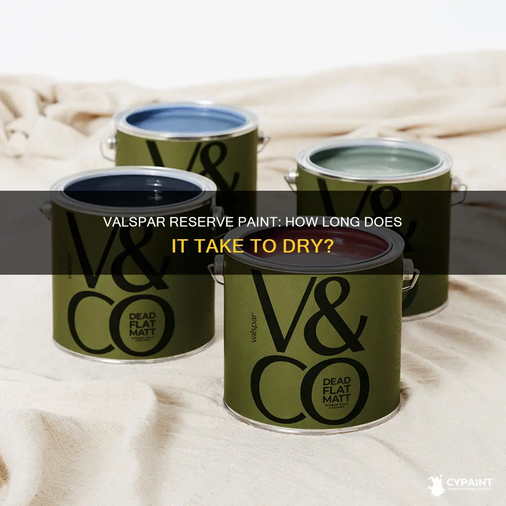 Valspar Reserve Paint: How Long Does It Take To Dry? | CyPaint