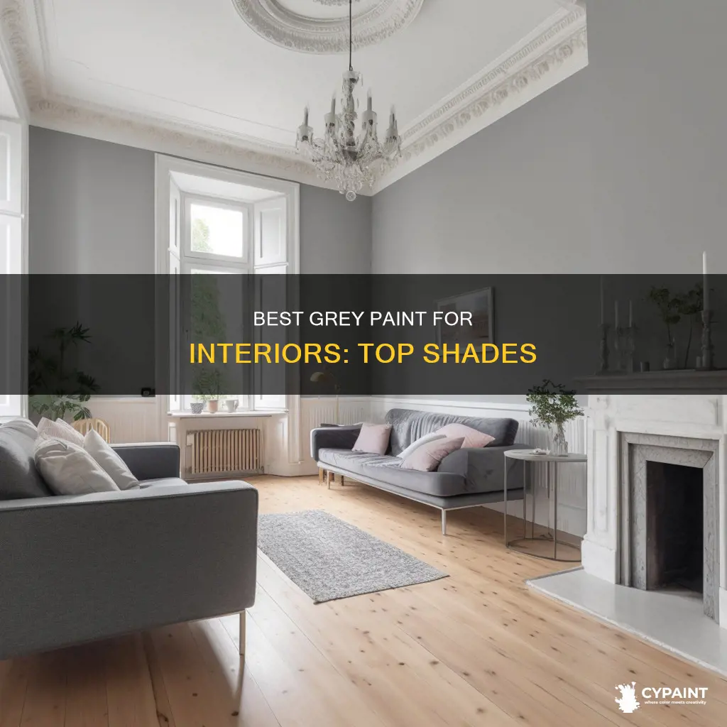Best Grey Paint For Interiors: Top Shades | CyPaint