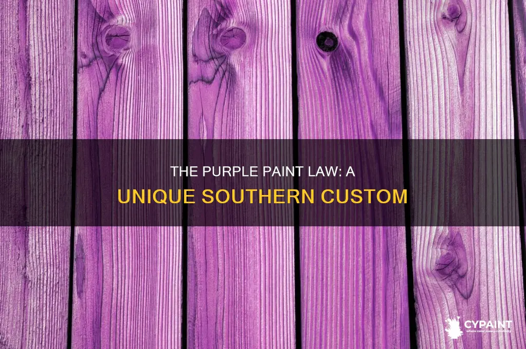 The Purple Paint Law: A Unique Southern Custom | CyPaint