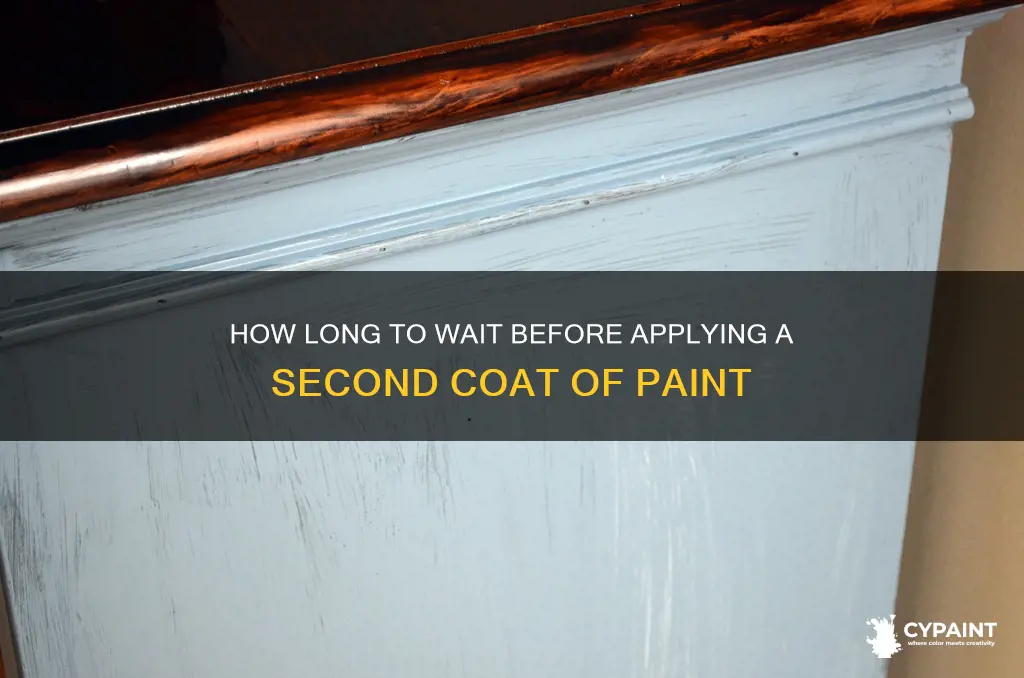 How Long To Wait Before Applying A Second Coat Of Paint | CyPaint