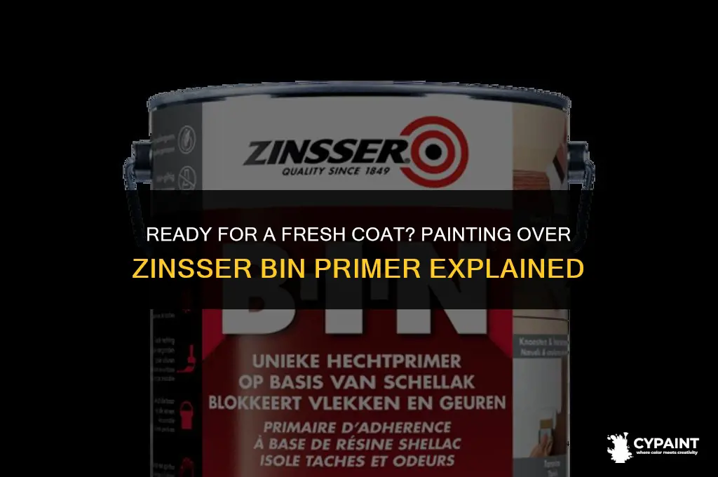 Ready For A Fresh Coat? Painting Over Zinsser Bin Primer Explained ...