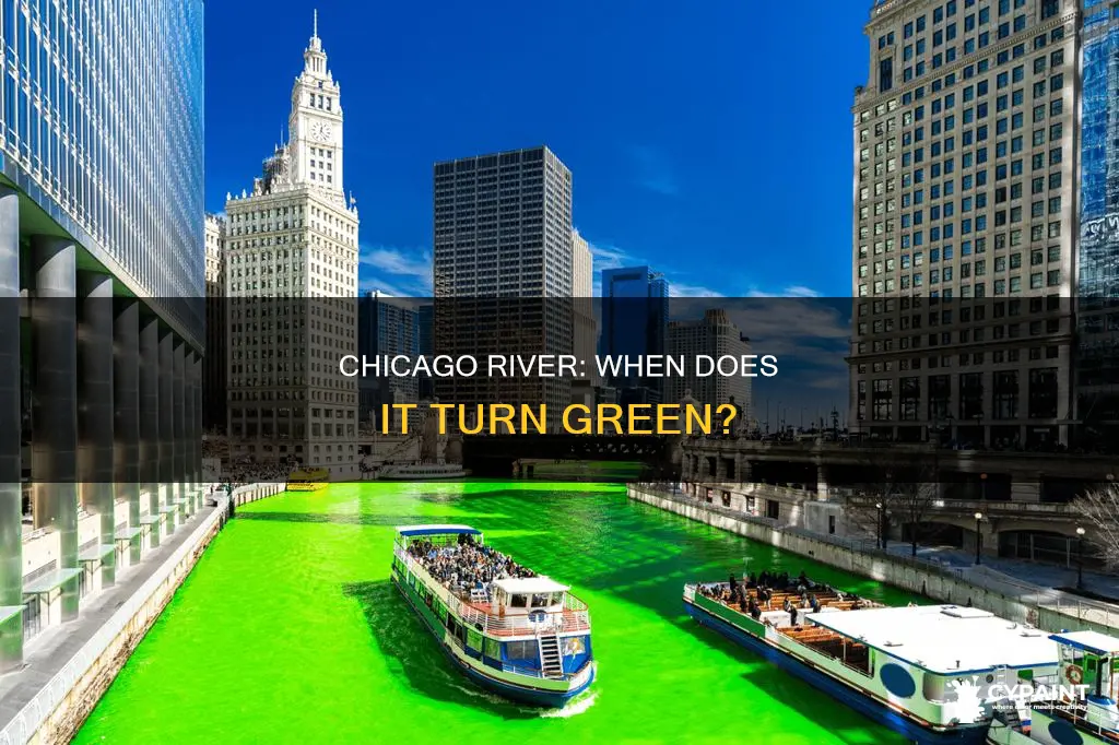 Chicago River: When Does It Turn Green? | CyPaint