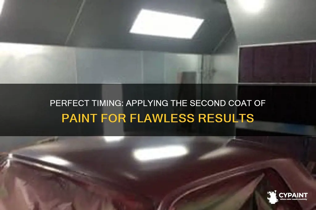 Perfect Timing: Applying The Second Coat Of Paint For Flawless Results ...