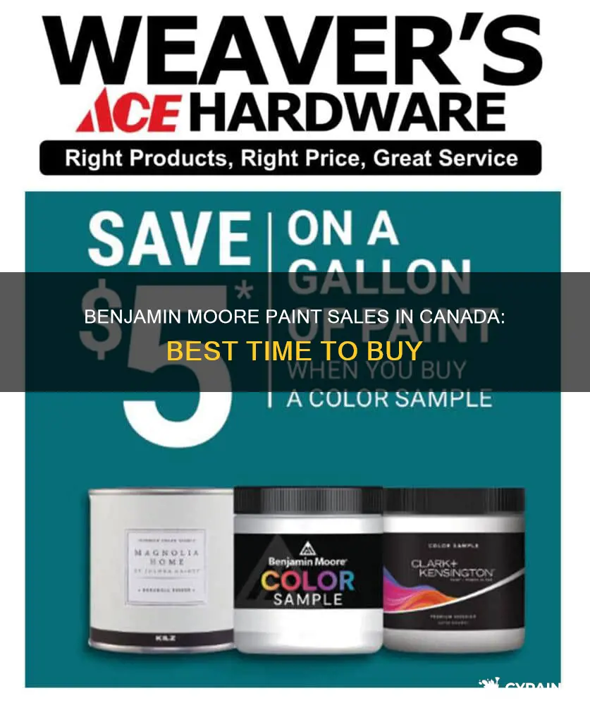 Benjamin Moore Paint Sales In Canada: Best Time To Buy | CyPaint