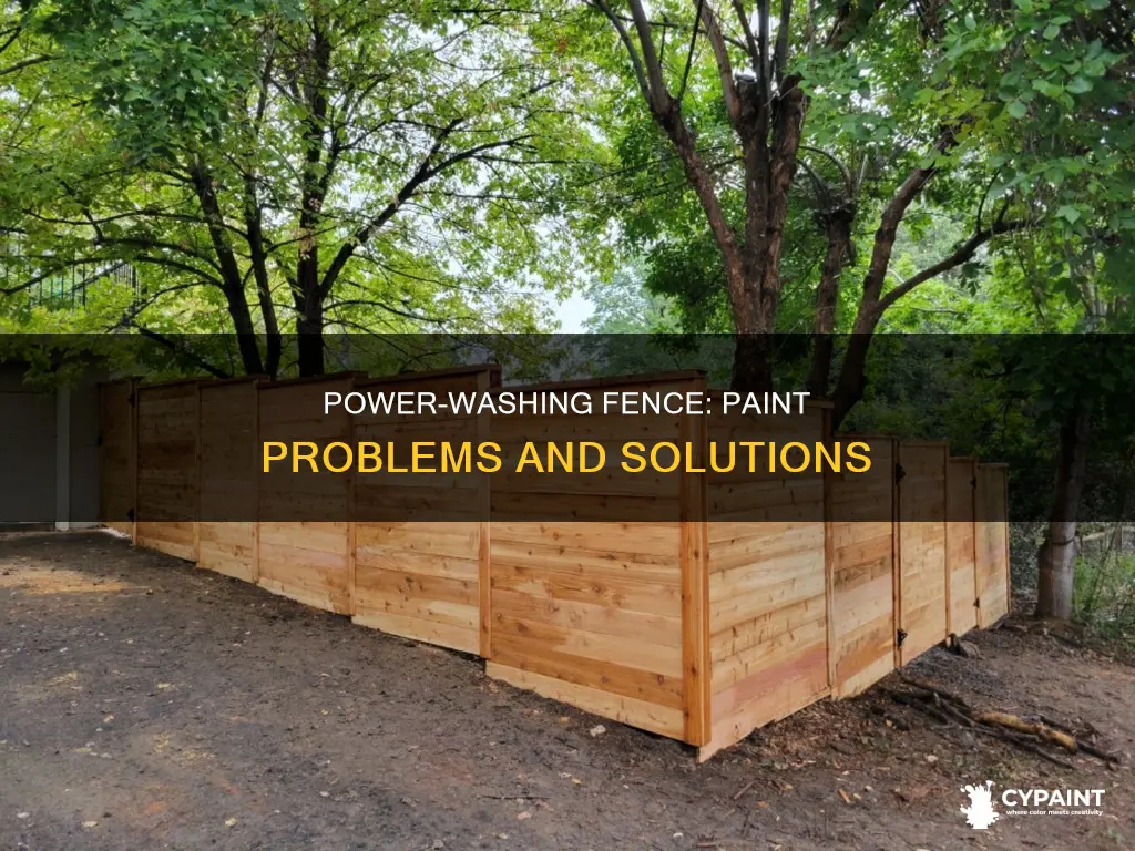 Power-Washing Fence: Paint Problems And Solutions | CyPaint