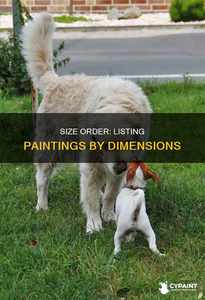 Size Order: Listing Paintings By Dimensions | CyPaint
