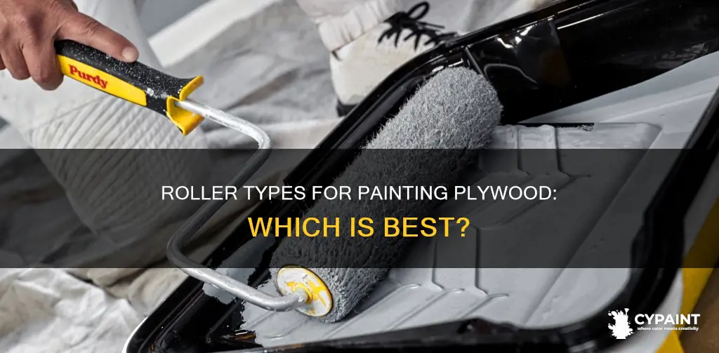 Roller Types For Painting Plywood: Which Is Best? | CyPaint