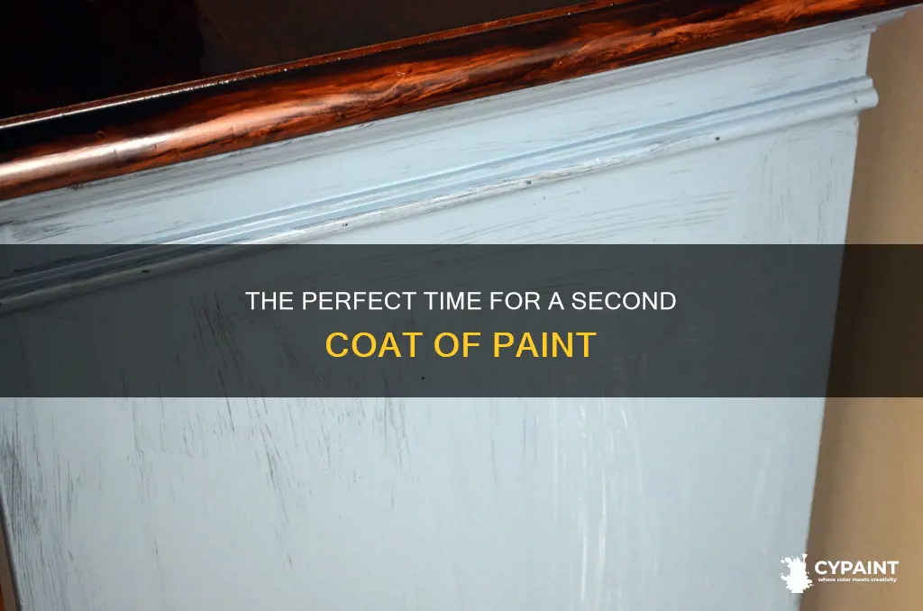 The Perfect Time For A Second Coat Of Paint | CyPaint