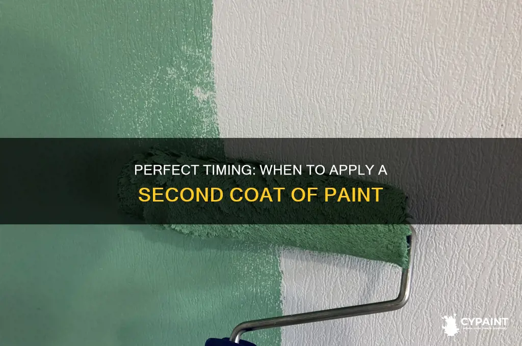 Perfect Timing: When To Apply A Second Coat Of Paint | CyPaint