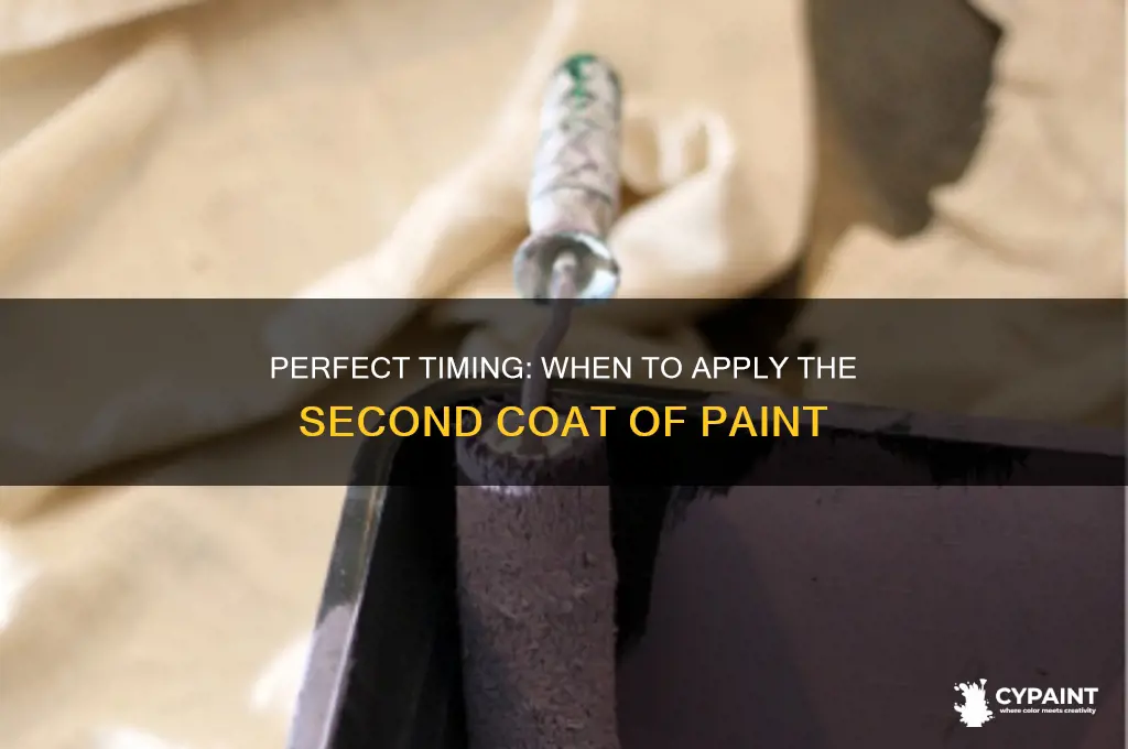 Perfect Timing: When To Apply The Second Coat Of Paint | CyPaint