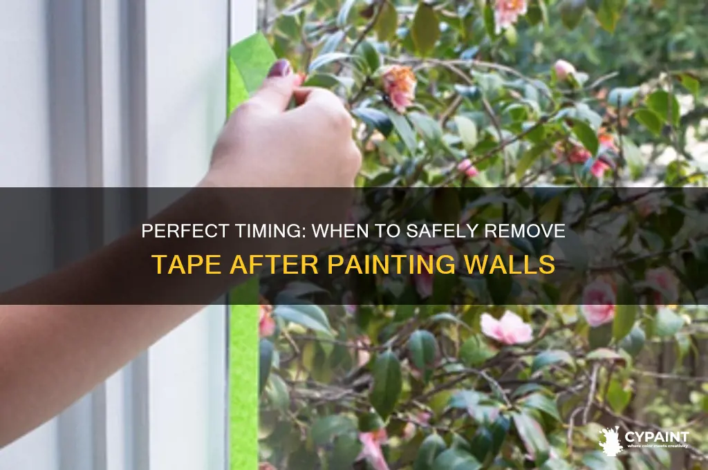 Perfect Timing: When To Safely Remove Tape After Painting Walls | CyPaint