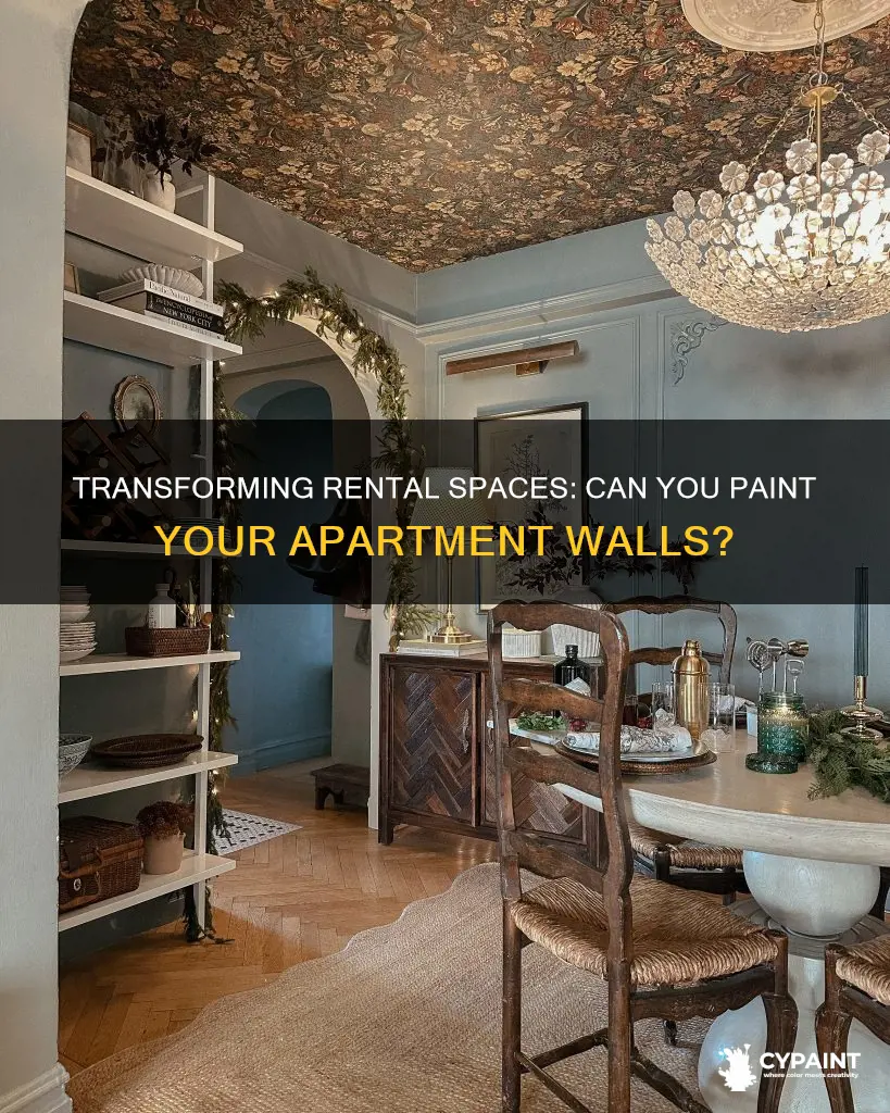 Transforming Rental Spaces: Can You Paint Your Apartment Walls? | CyPaint
