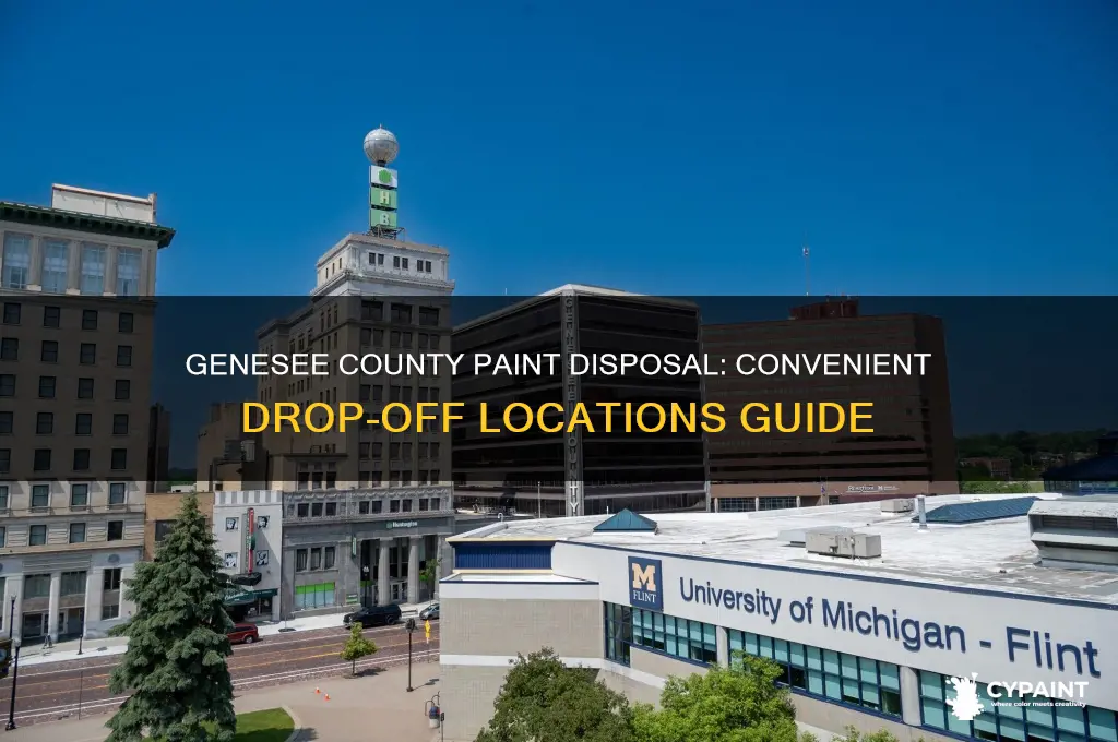 Genesee County Paint Disposal: Convenient Drop-Off Locations Guide ...