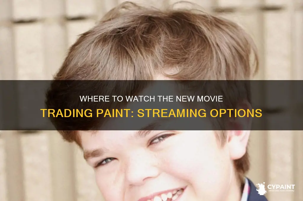 Where To Watch The New Movie Trading Paint: Streaming Options | CyPaint