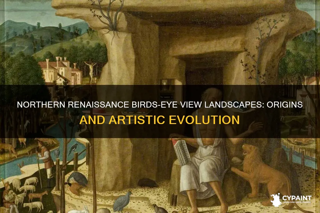 Northern Renaissance Birds-Eye View Landscapes: Origins And Artistic ...