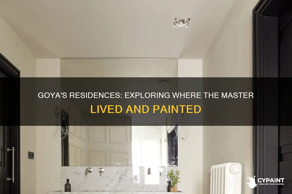 Goya's Residences: Exploring Where The Master Lived And Painted | CyPaint