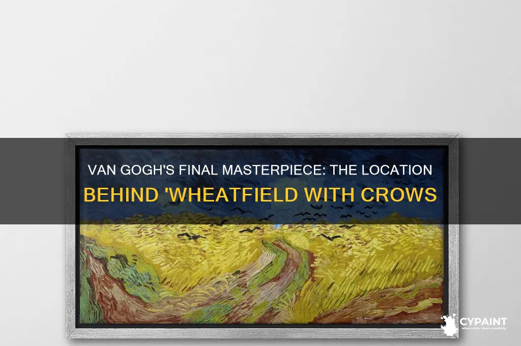 Van Gogh's Final Masterpiece: The Location Behind 'Wheatfield With ...