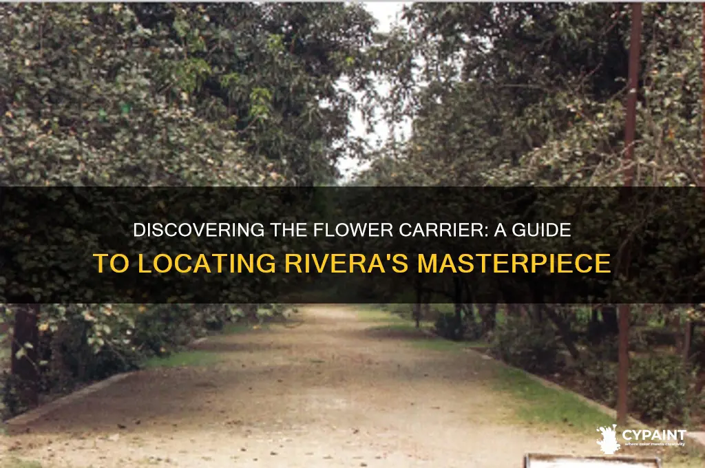 Discovering The Flower Carrier: A Guide To Locating Rivera's ...