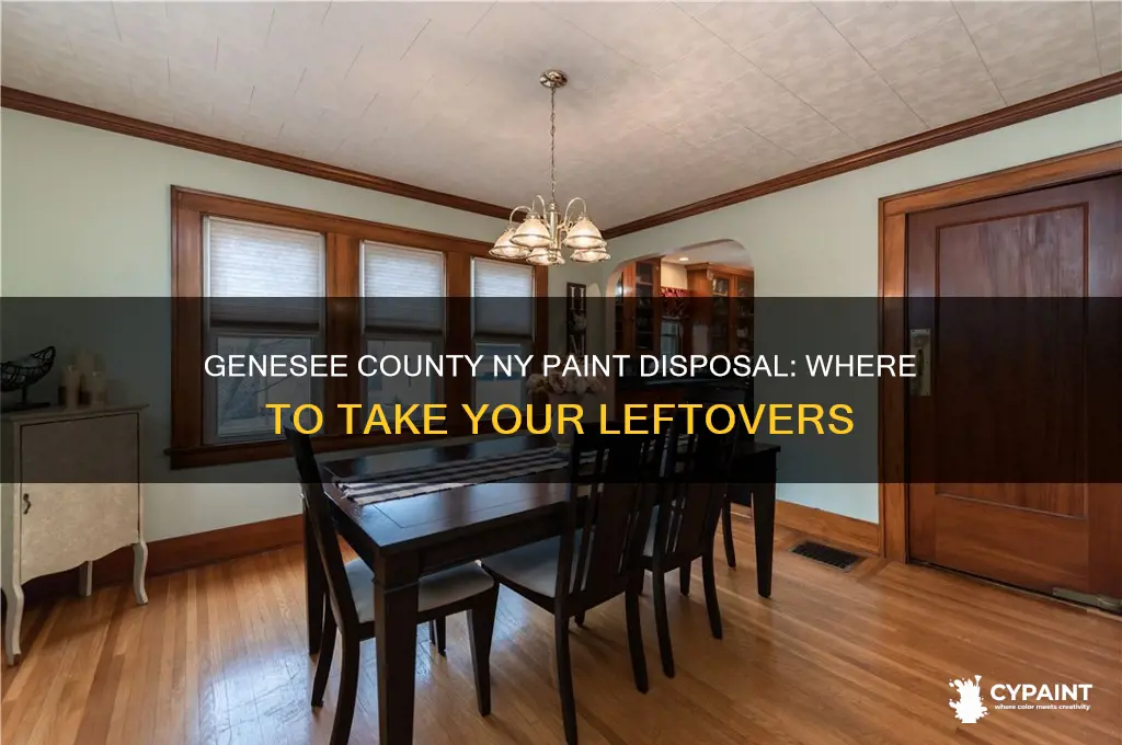 Genesee County Ny Paint Disposal: Where To Take Your Leftovers | CyPaint
